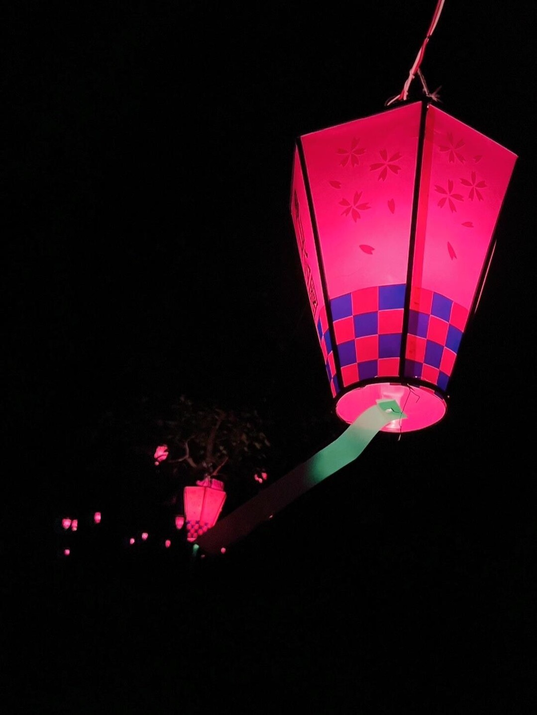 1）“ぼんぼり“に灯りがともりました😊... / kazさんのモーメント | YAMAP / ヤマップ