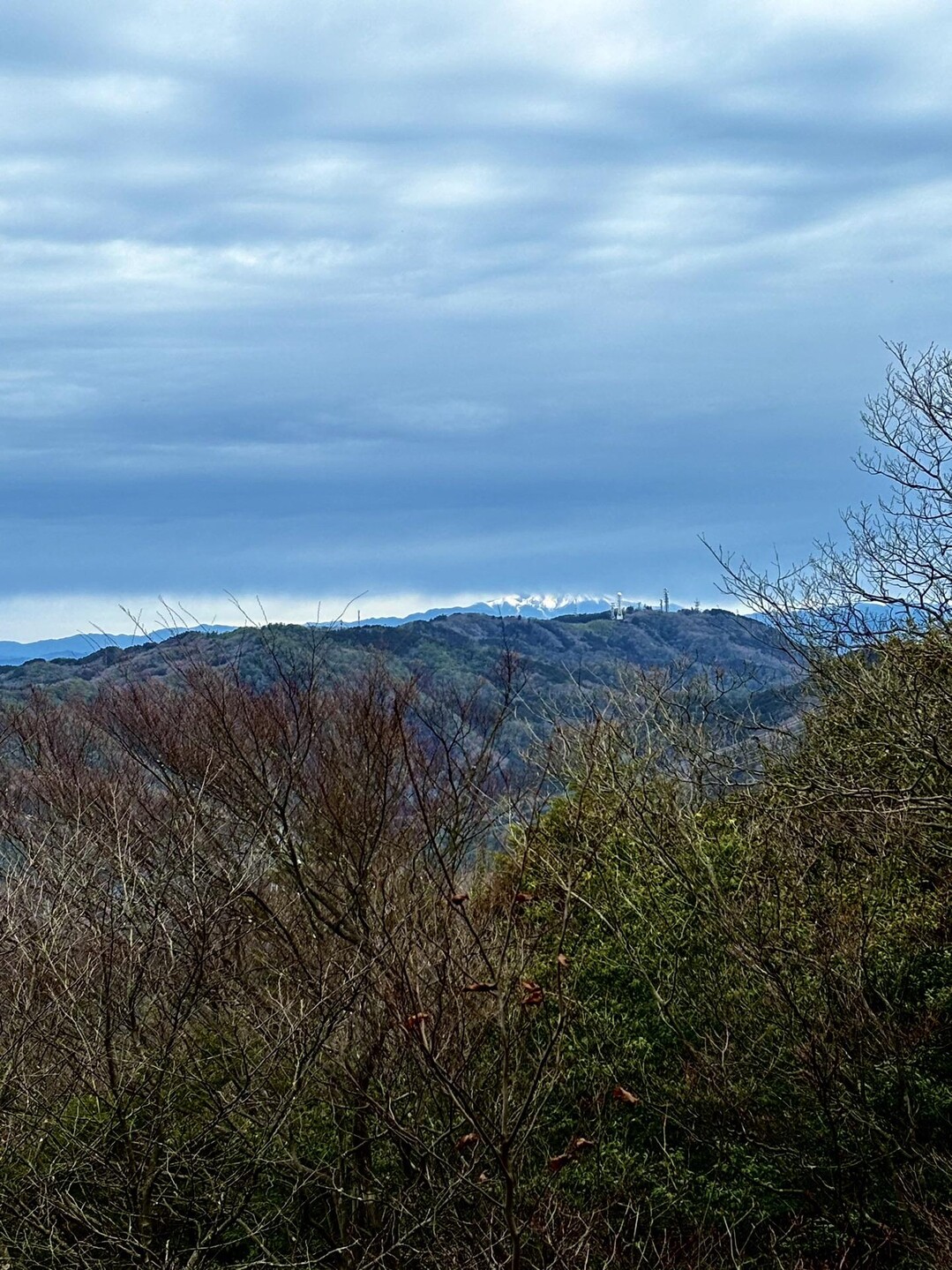 猿投山 / sachiさんのウォーキングの活動データ | YAMAP / ヤマップ