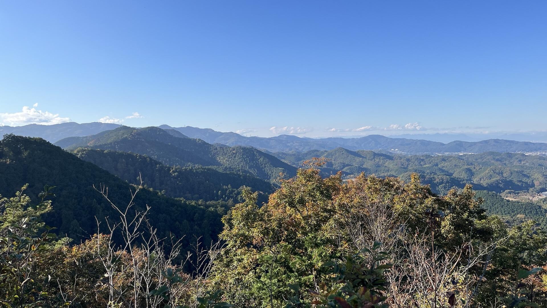 官ノ倉山・石尊山 / isoさんの官ノ倉山の活動データ | YAMAP / ヤマップ