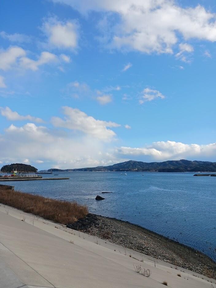 荒島ラン / ひまわりさんのランニングの活動データ | YAMAP / ヤマップ