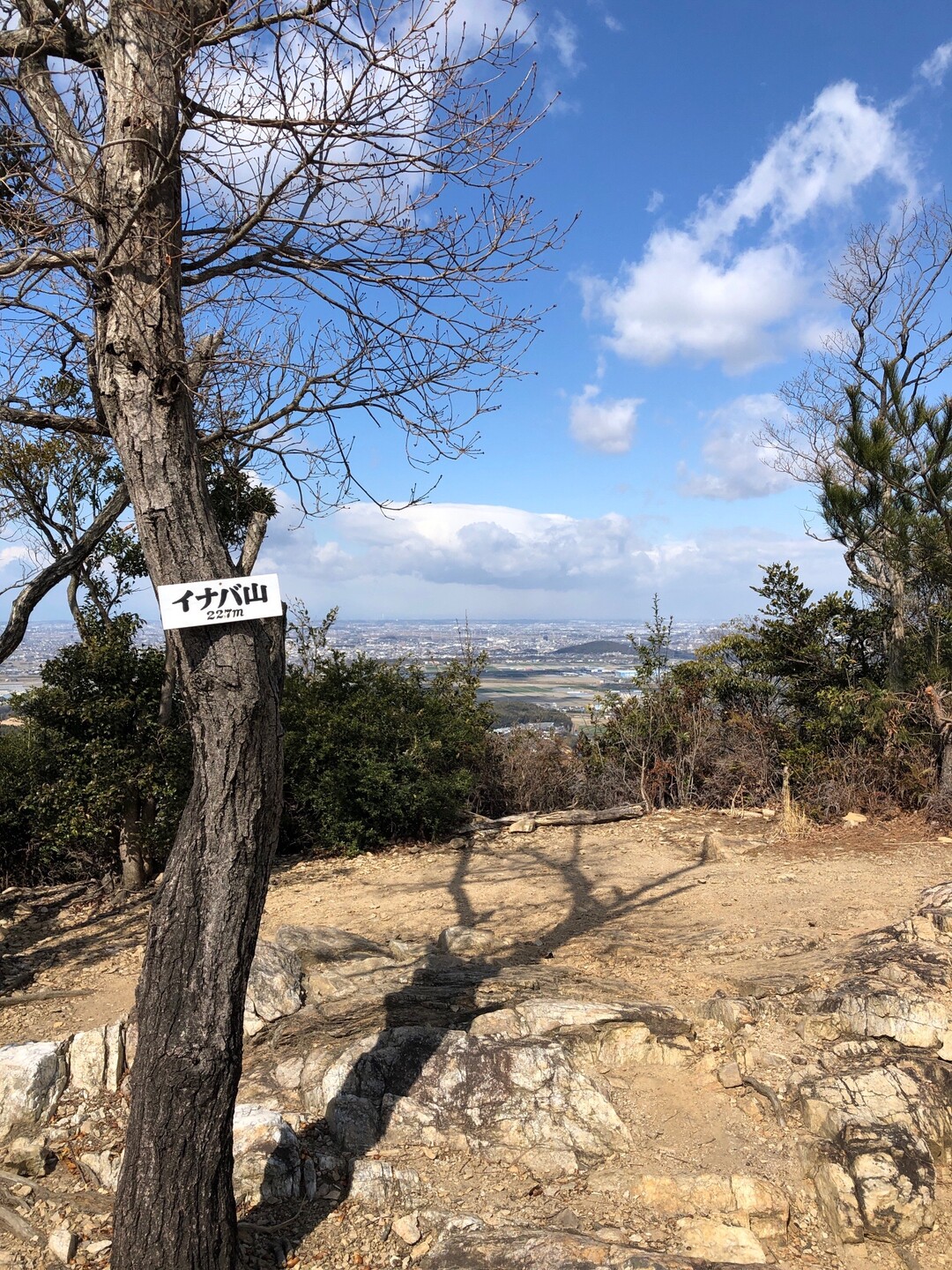 イナバ山 / Chayaさんの茶臼山・万灯山の活動データ | YAMAP / ヤマップ