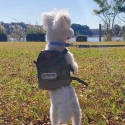 sadaのページ | YAMAP / ヤマップ