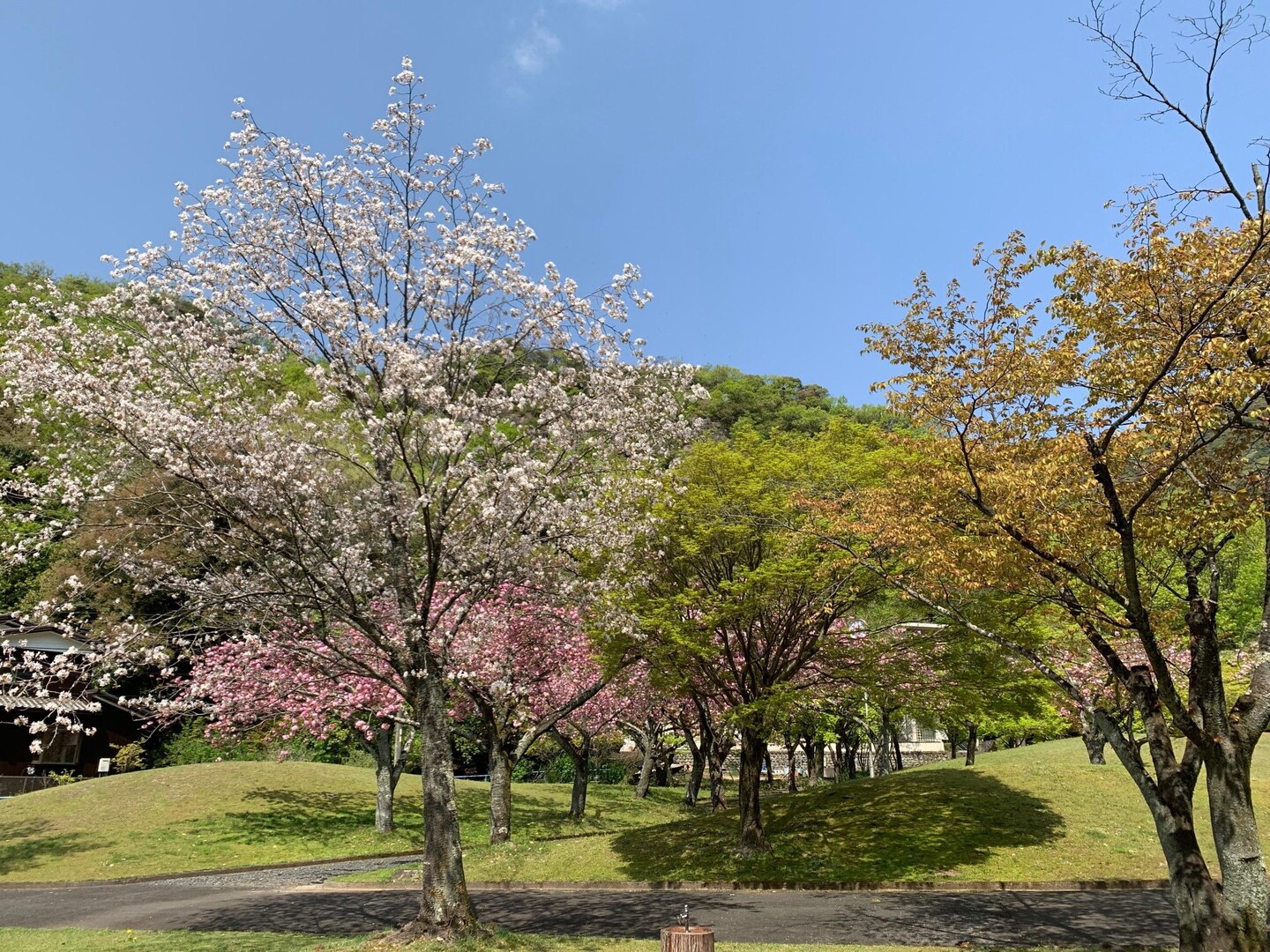 金華山・岩戸山 / oioiさんの金華山・洞山・舟伏山の活動データ | YAMAP / ヤマップ