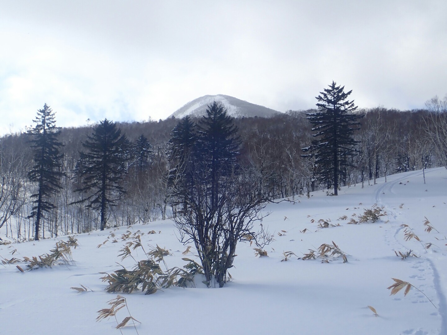 狩勝山 BCのお山⛷️ / みなみんみんさんのGT3 6の活動データ | YAMAP / ヤマップ