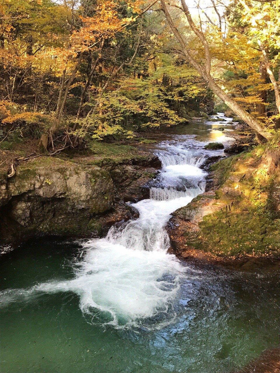 ウォーキング-伏伸の滝〜舟作 / nanoさんのウォーキングの活動データ | YAMAP / ヤマップ