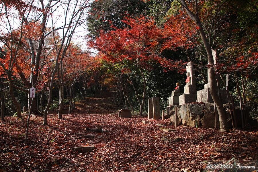 矢田丘陵 矢田山四国へんろみちの紅葉 / Scenewayさんの矢田丘陵・法隆寺の活動データ | YAMAP / ヤマップ