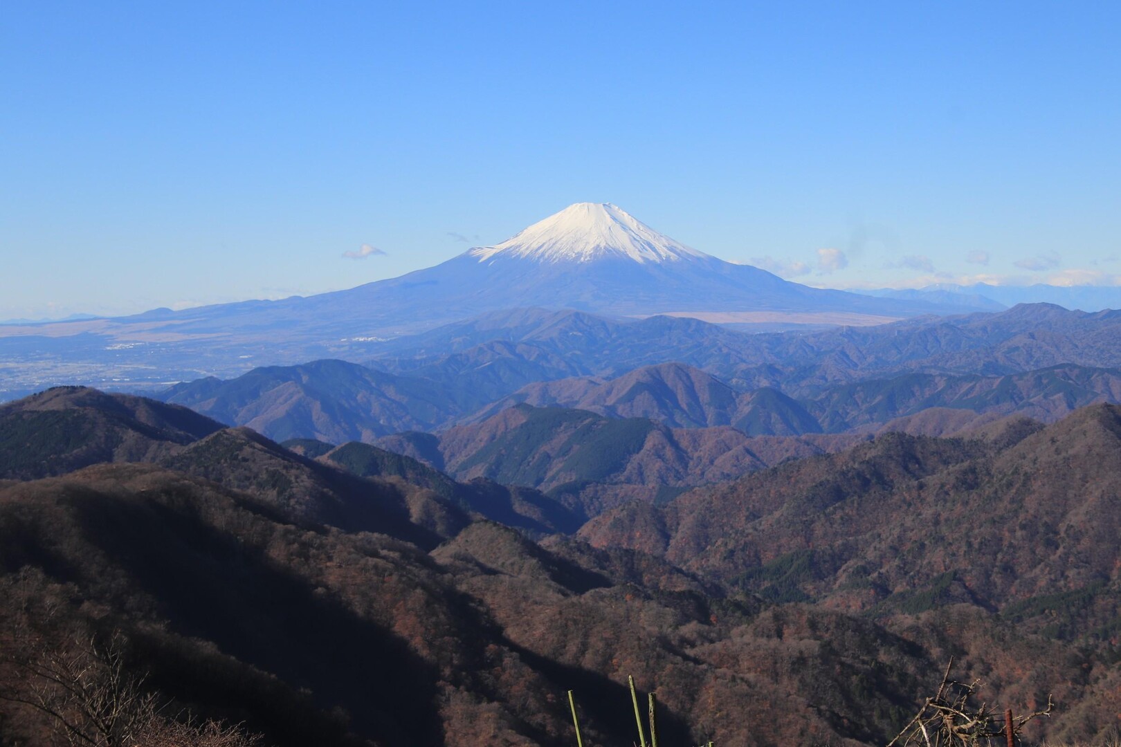 塔ノ岳と丹沢山 大倉ピストン / Rpさんの塔ノ岳・丹沢山・蛭ヶ岳の活動データ | YAMAP / ヤマップ