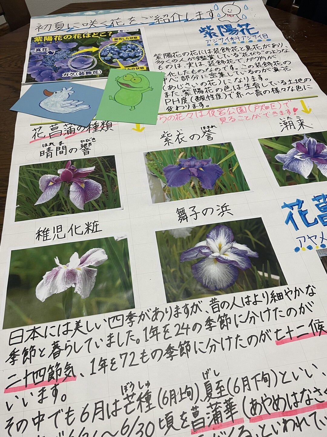 お山、全然関係ないんだけど、職場の掲示板... / yucoさんのモーメント | YAMAP / ヤマップ