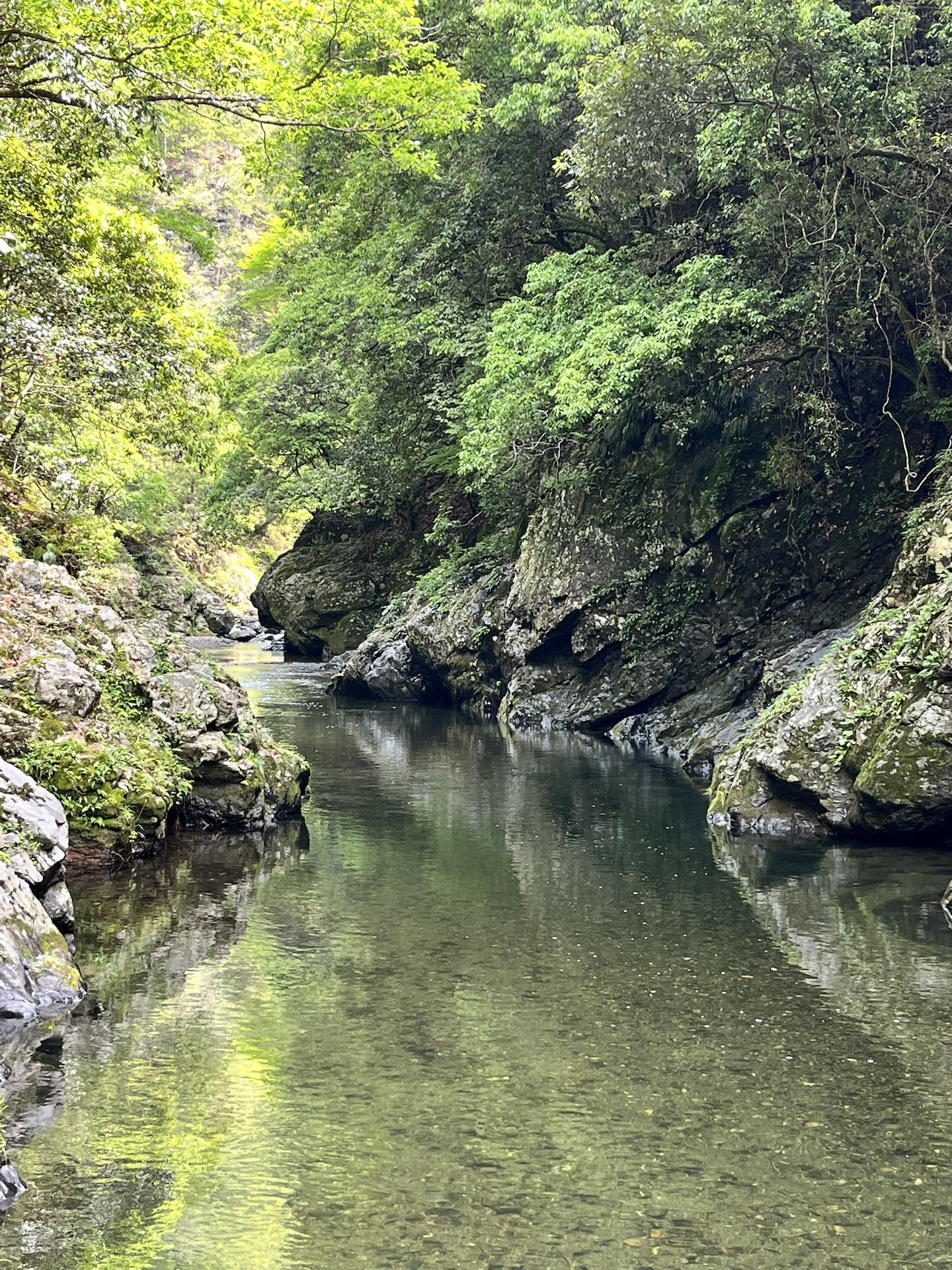 廣澤山・長刀山・長尾山 / su-junさんの愛宕山・三頭山・朝日峯の活動データ | YAMAP / ヤマップ