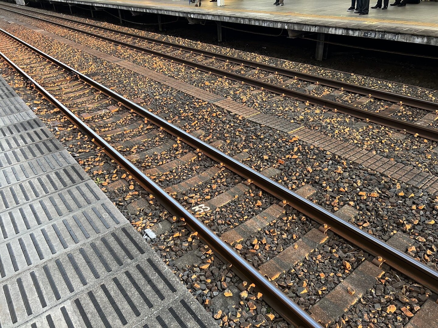 JRの線路に🍊かミカンの皮を撒いたのか... / まっちゃんさんのモーメント | YAMAP / ヤマップ