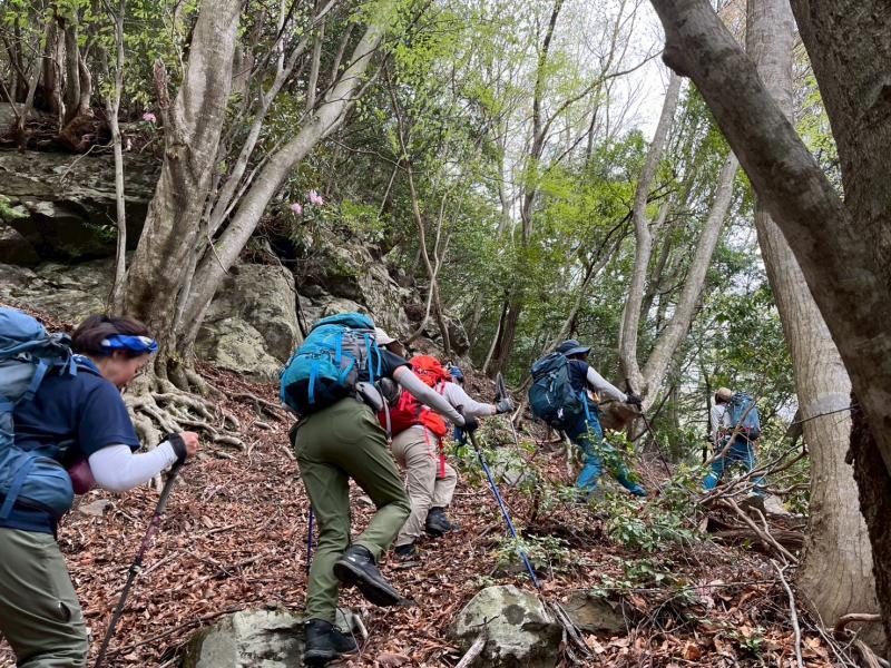 比良 シャクシコバの頭 https://... / 京都趣味登山会さんのモーメント | YAMAP / ヤマップ