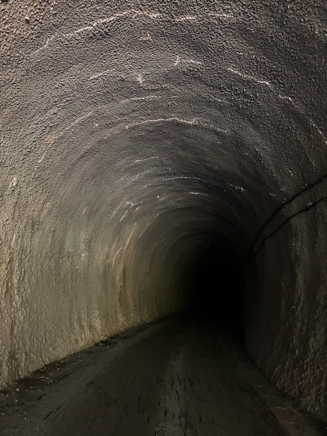 ユーシン渓谷 -2024-07-27 / tykmktさんの塔ノ岳・丹沢山・蛭ヶ岳の活動データ | YAMAP / ヤマップ