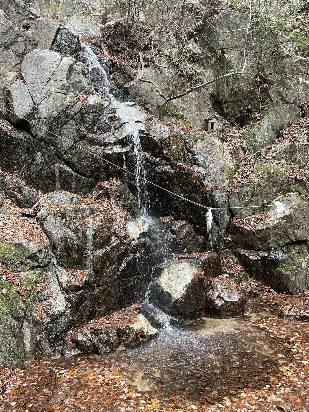 男体山・女体山・屹兎屋山・三森山・二ッ箭山・月山 / mokumokuさんの二ッ箭山・三森山・猫鳴山の活動データ | YAMAP / ヤマップ