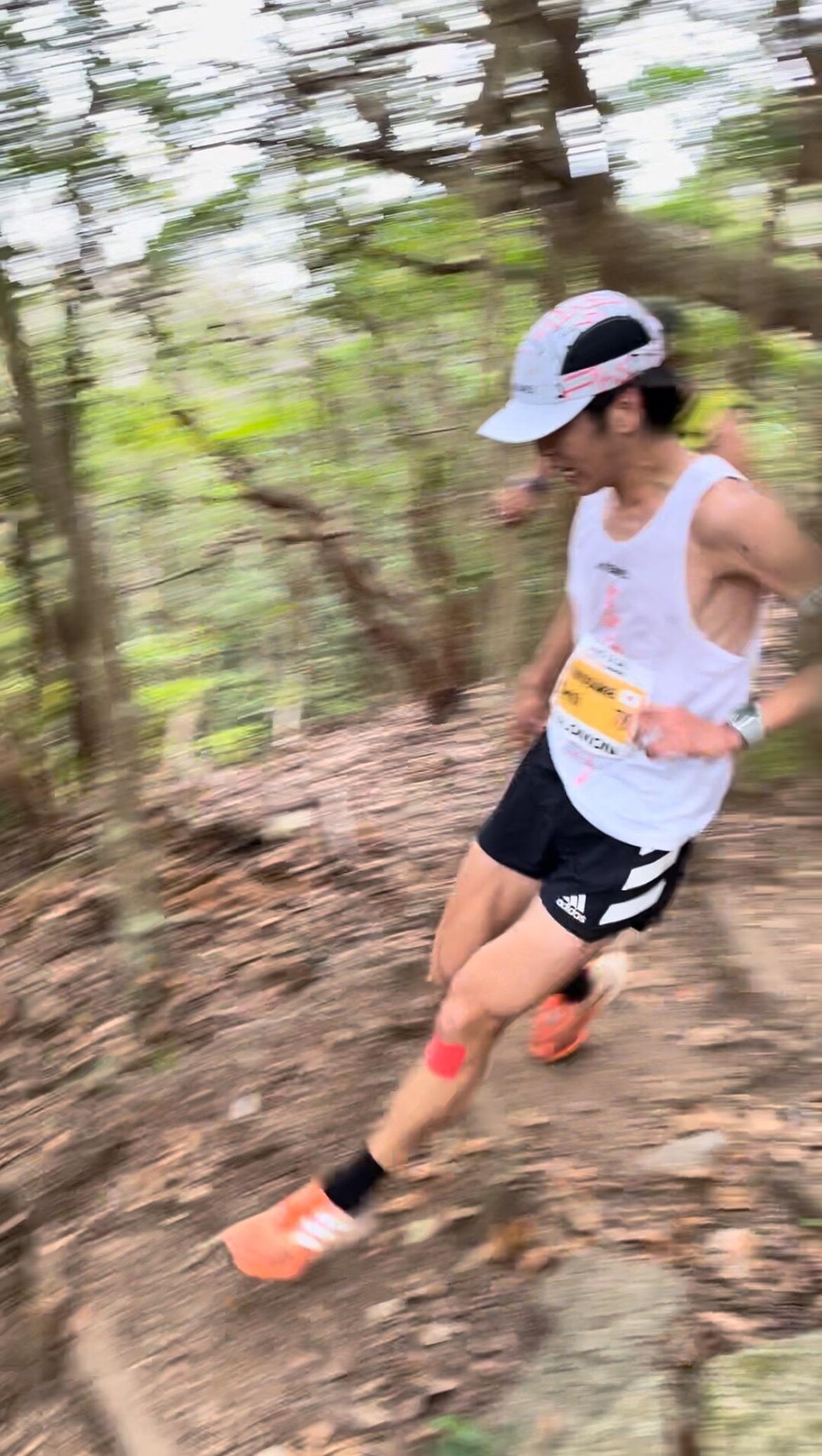 KOBE TRAIL 2024（15k EKIDEN ） / りゅりゅさんの六甲山・長峰山・摩耶山の活動データ | YAMAP / ヤマップ