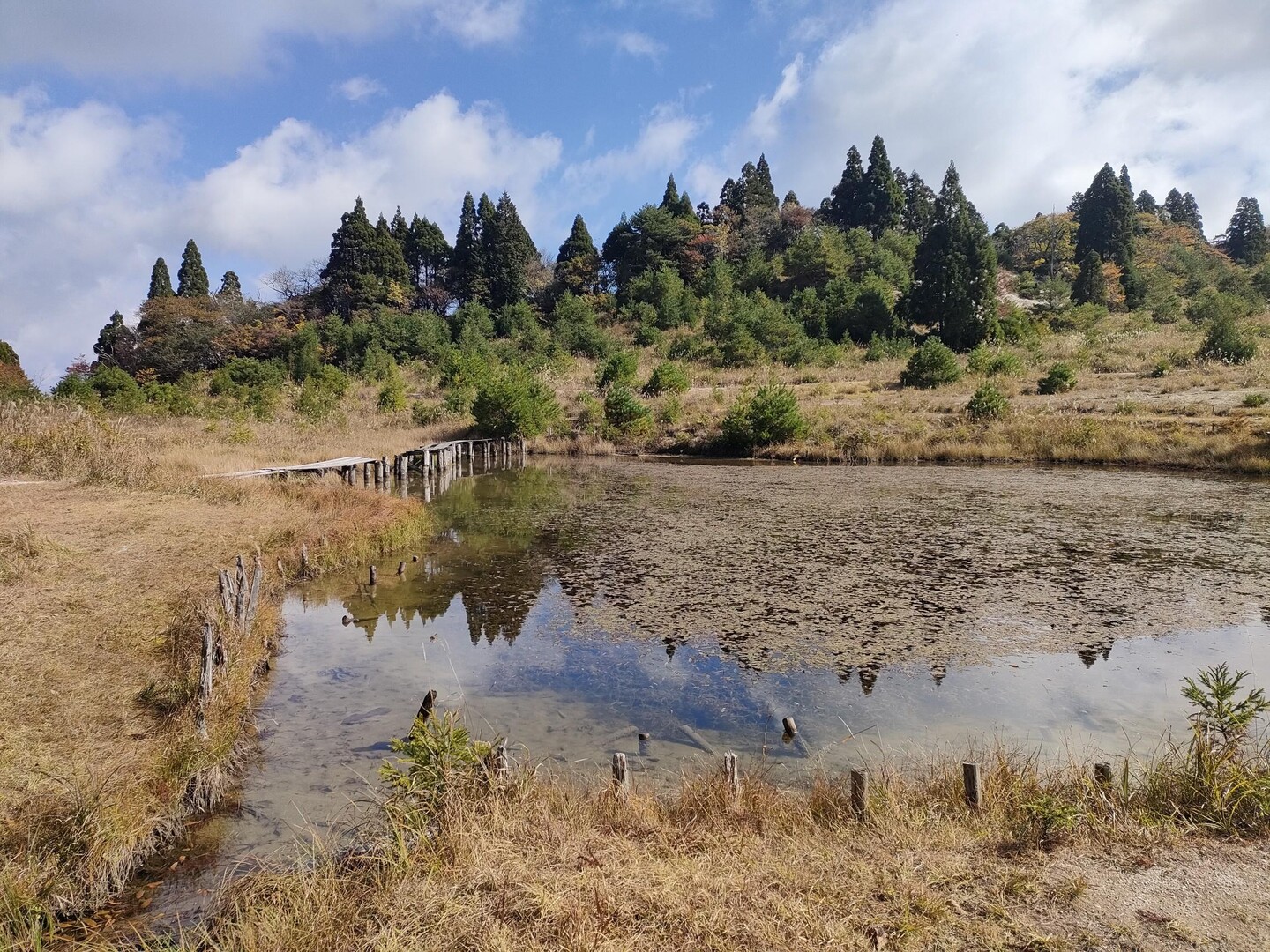 武奈ヶ岳 / junjunさんの比良山地・武奈ヶ岳・釈迦岳の活動データ | YAMAP / ヤマップ
