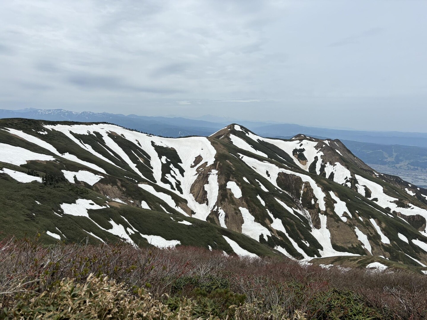 前巻機・御機屋（巻機山 山標柱）・巻機山・牛ヶ岳・割引岳 / kkoさんの巻機山・割引岳・金城山の活動データ | YAMAP / ヤマップ