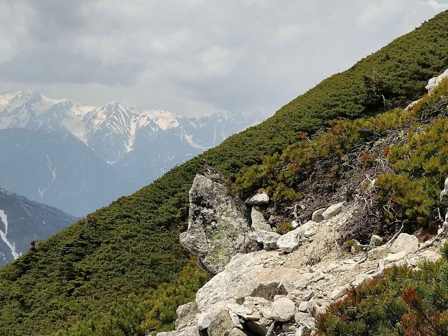 唐松岳 / fu_suyueさんの鹿島槍ヶ岳・五竜岳（五龍岳）・唐松岳の活動データ | YAMAP / ヤマップ