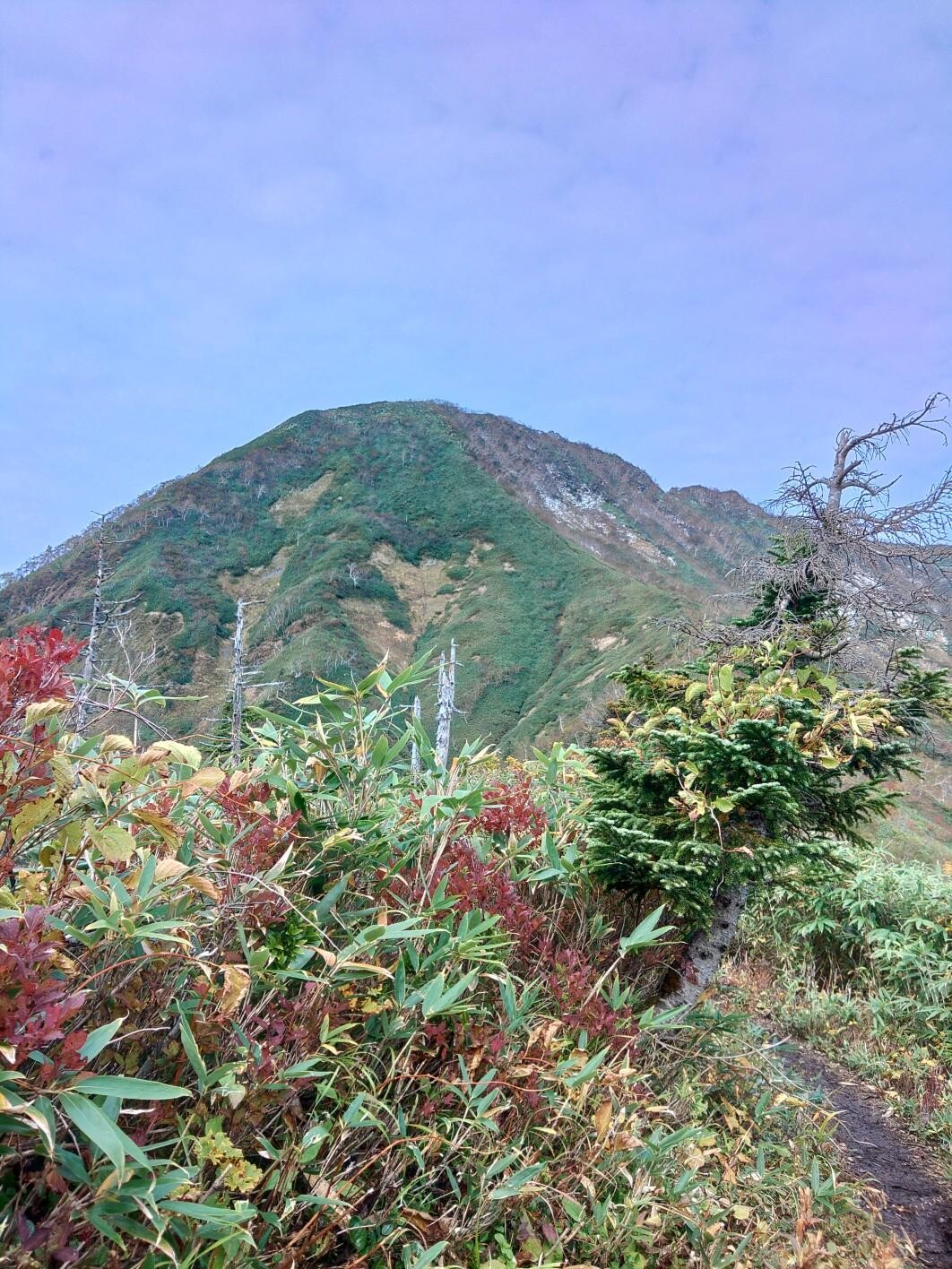 高妻山 / FOKさんの高妻山・戸隠山の活動データ | YAMAP / ヤマップ