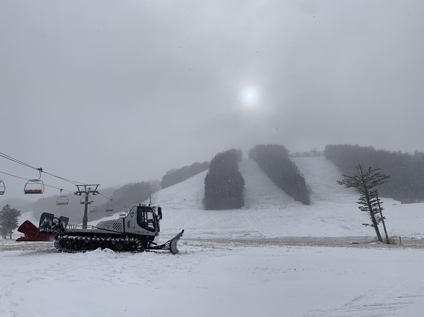 初滑り戸隠スキー場-2022-12-11 / hamさんの飯縄山の活動データ | YAMAP / ヤマップ