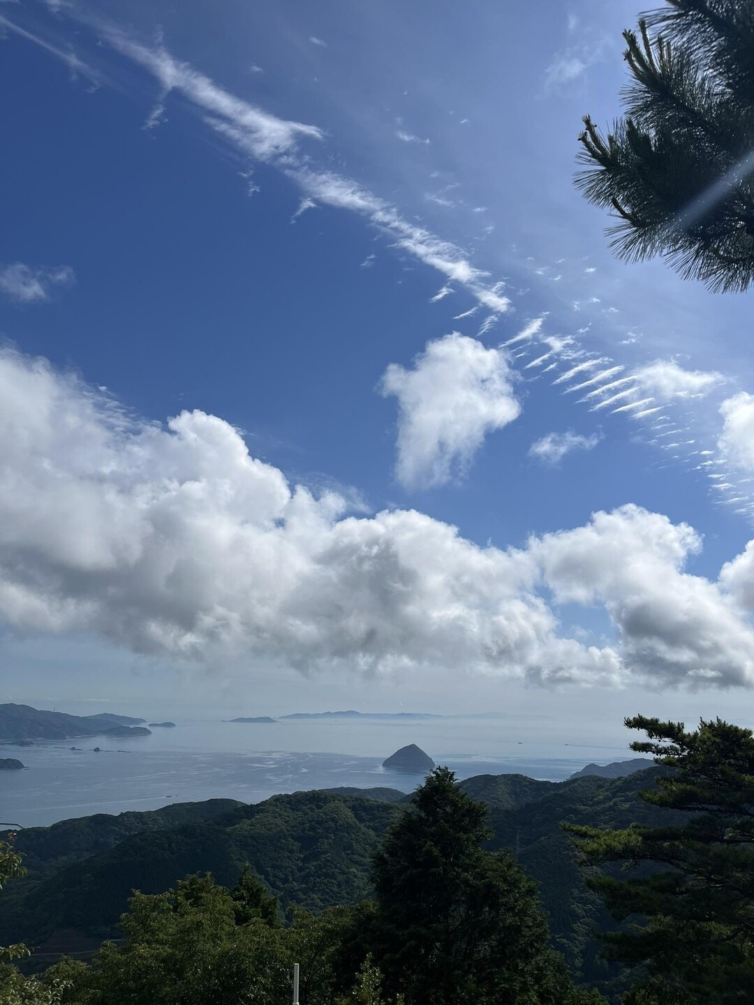 塔ノ尾まで🍃 / kunさんの鎮南山の活動データ | YAMAP / ヤマップ