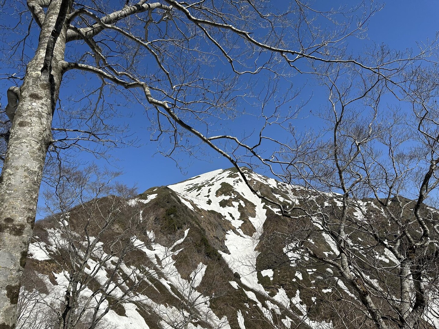 GW谷川残雪 / やまけいさんの谷川岳・七ツ小屋山・大源太山の活動データ | YAMAP / ヤマップ