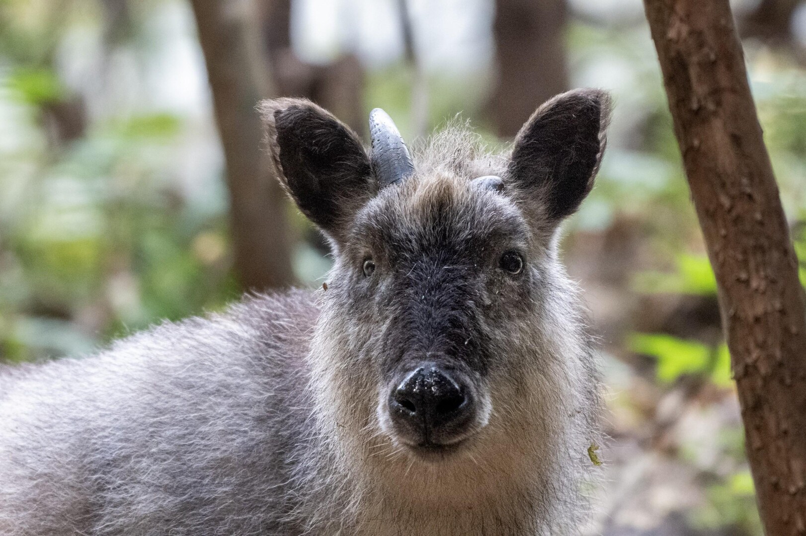 猿投山〜カモシーに逢いに〜 / やωちゃさんの猿投山・物見山の活動データ | YAMAP / ヤマップ