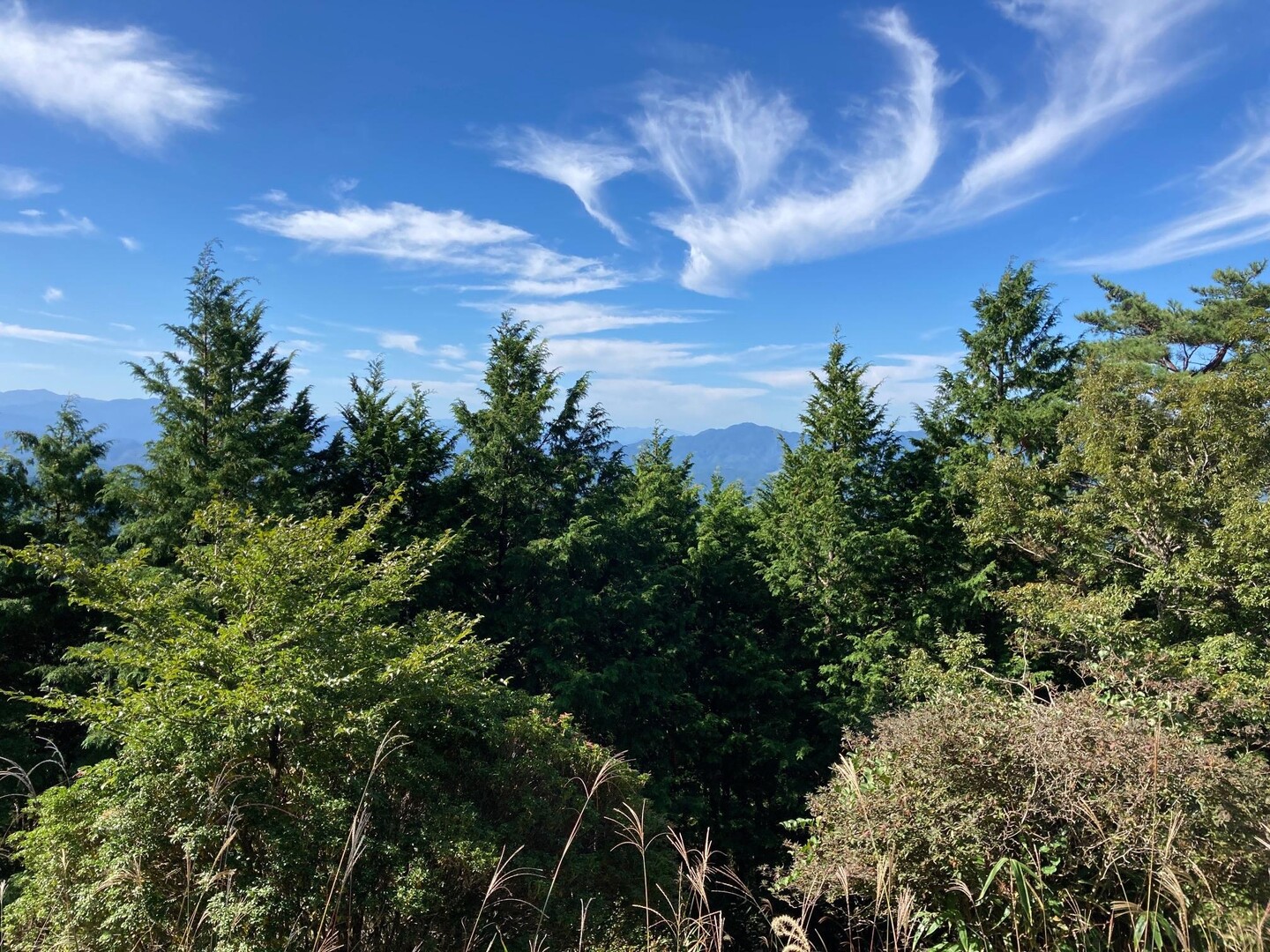 高城岳・三郎岳 / 怪盗KIDさんの三郎岳・高城岳の活動データ | YAMAP / ヤマップ