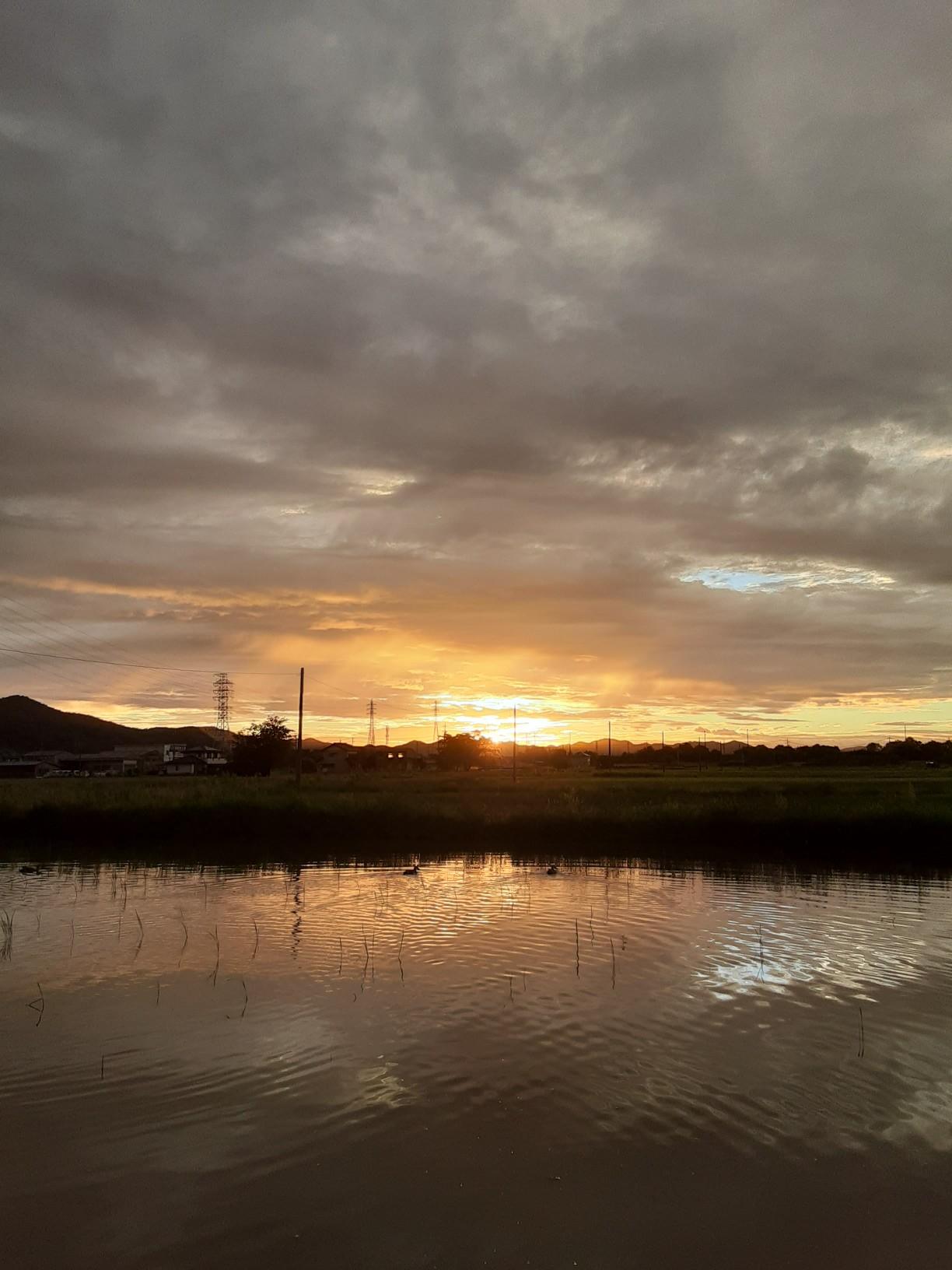早朝ポタリング🚴‍♂️ #各務原にひ... / yu16さんのモーメント | YAMAP / ヤマップ