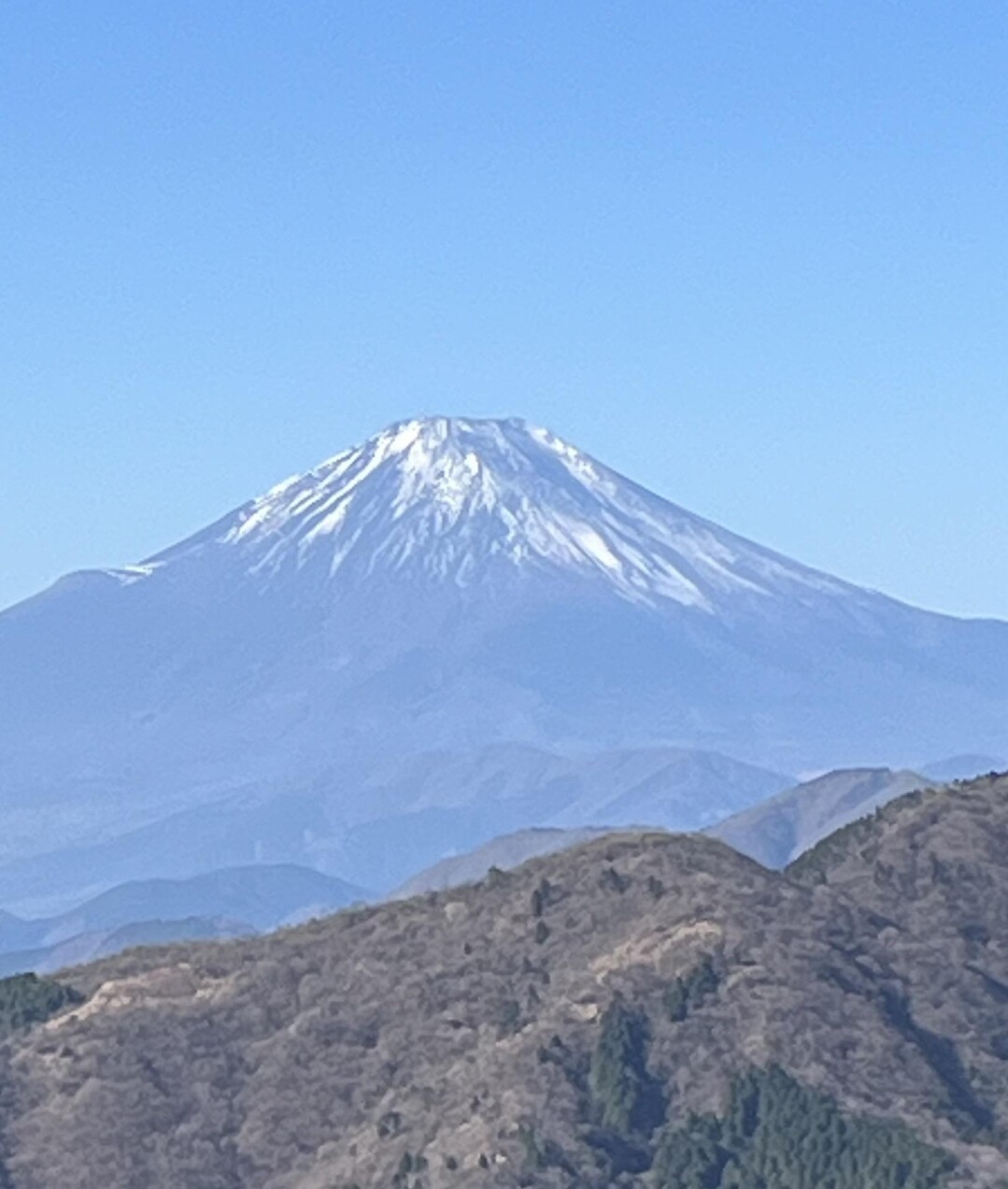 ヤビツ峠から大山 / skipさんの塔ノ岳・丹沢山・蛭ヶ岳の活動データ | YAMAP / ヤマップ