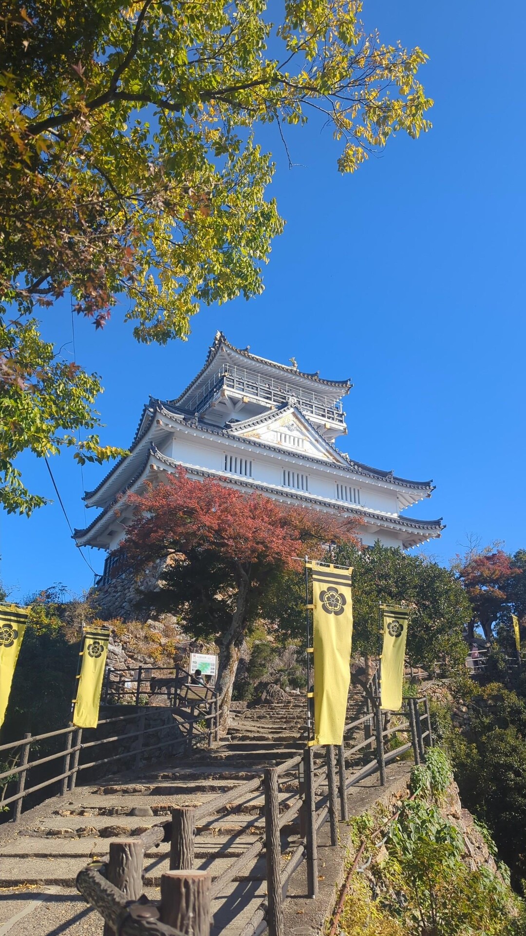 金華山 / Mizukiさんの金華山・洞山・舟伏山の活動データ | YAMAP / ヤマップ