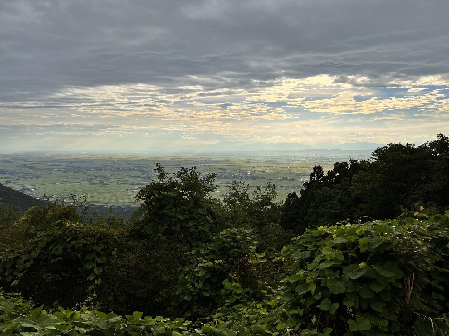 弥彦山 / Y-MANさんの弥彦山・多宝山・雨乞山の活動データ | YAMAP / ヤマップ