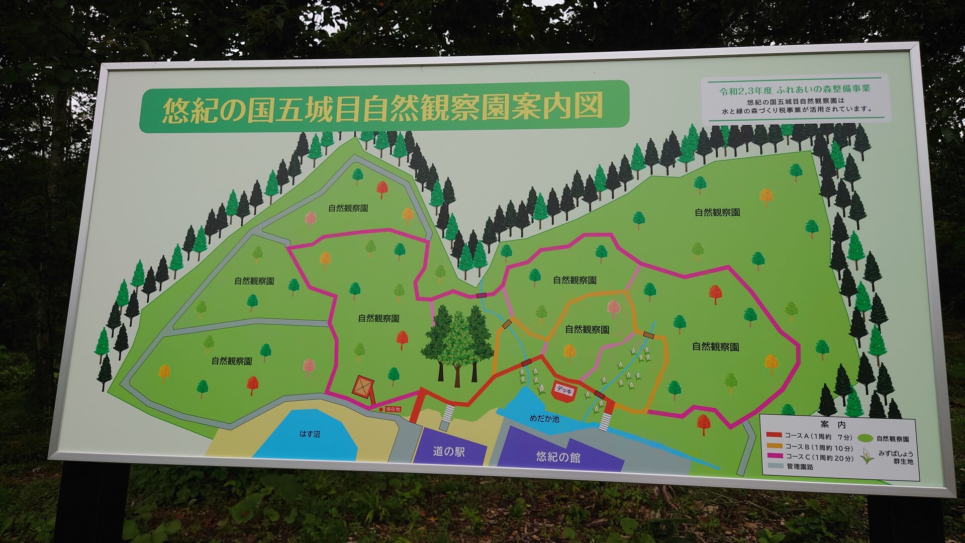 悠紀の国 五城目自然観察園 / WA1号さんの森山の活動データ | YAMAP / ヤマップ