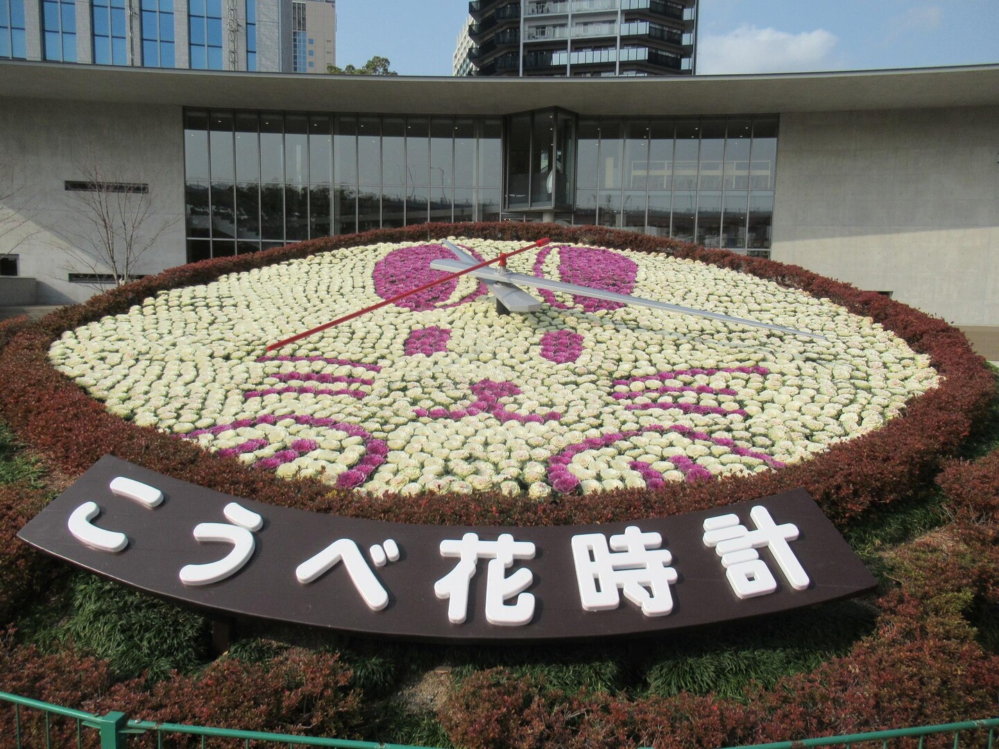 新春の神戸ウォーキング / asayanさんの神戸市の活動データ | YAMAP / ヤマップ