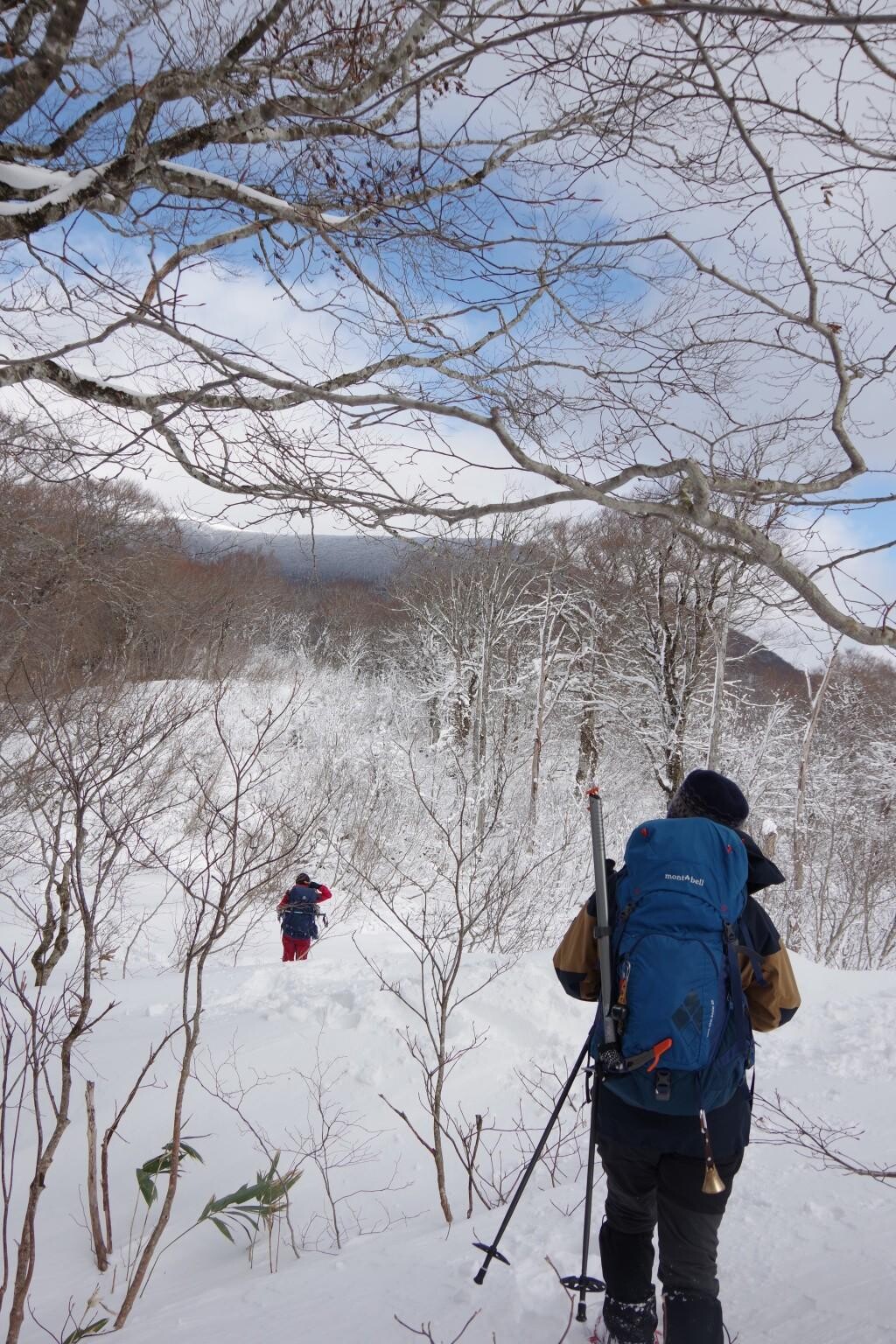 雪の回廊どいなぐなってっぺ？ / POKAさんの船形山（御所山）・泉ヶ岳・蛇ヶ岳の活動データ | YAMAP / ヤマップ