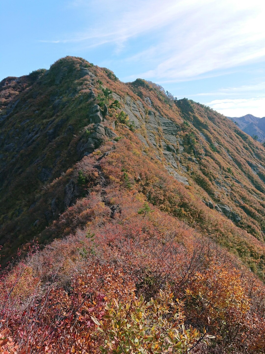 万之助山・光明山 / tak_kerさんの光明山の活動日記 | YAMAP / ヤマップ