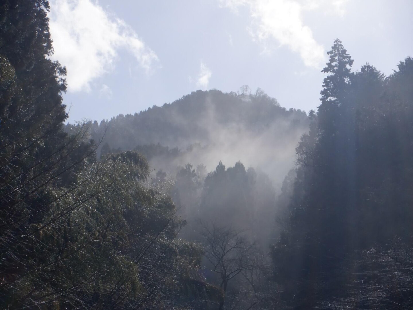 文殊山（R06-16） / Ichiさんの文殊山の活動データ | YAMAP / ヤマップ