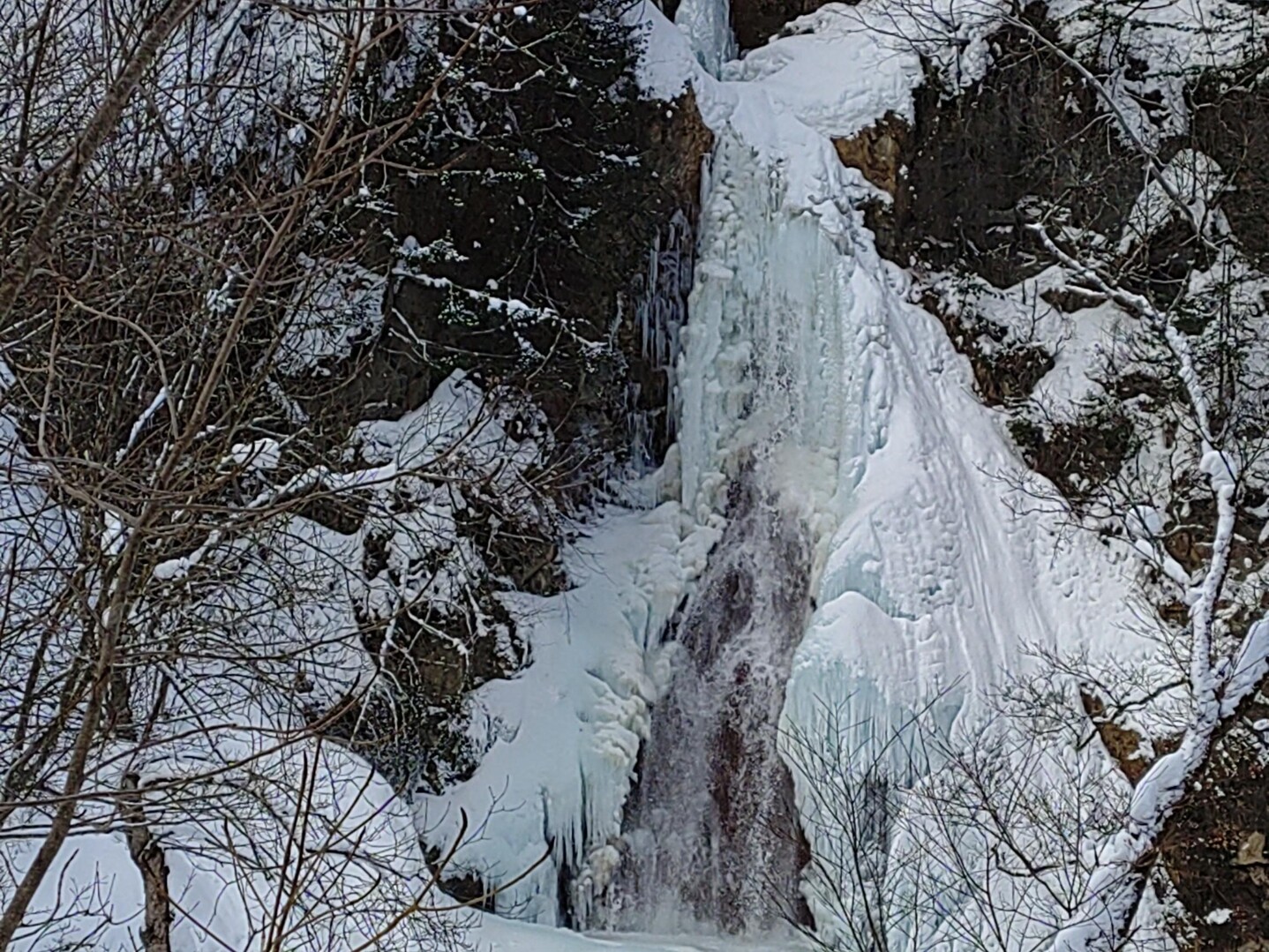 2024_02_03_岩手山屏風尾根少し（BCスキー） / bakkyさんの岩手山・黒倉山・鞍掛山の活動データ | YAMAP / ヤマップ