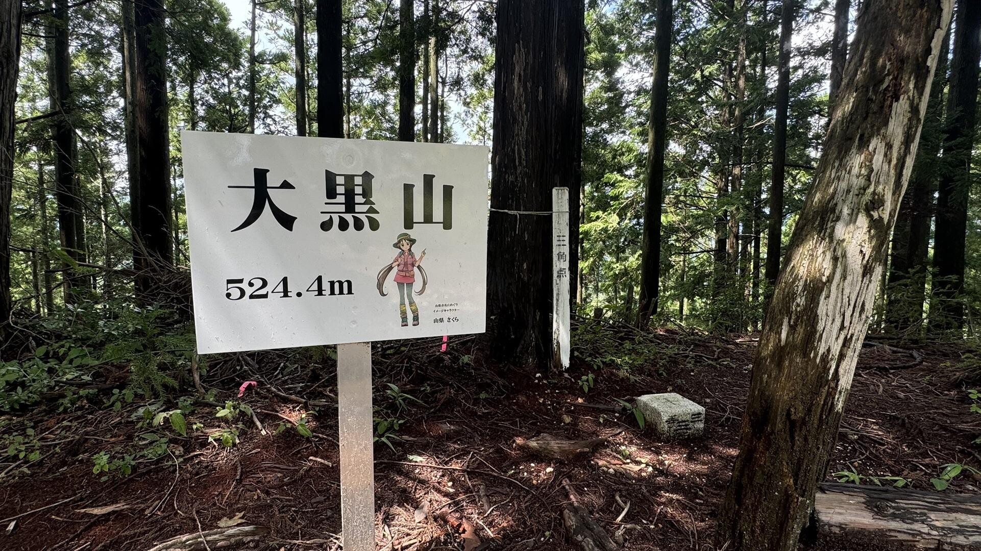 未到の里山シリーズ 大黒山（山県市） / R320さんの天狗ヶ城・大黒山の活動データ | YAMAP / ヤマップ