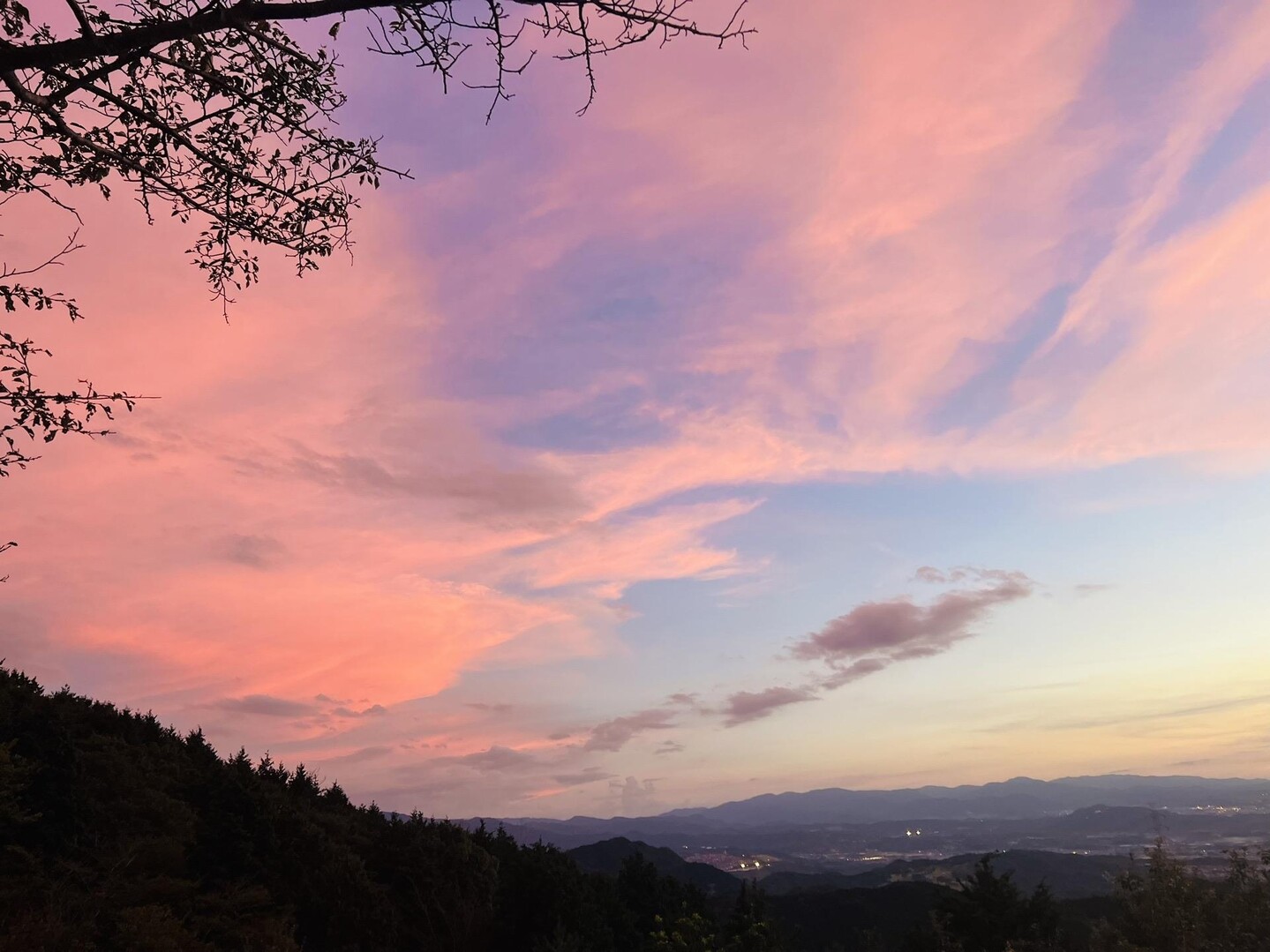 二上山（雌岳） / sa⑅ ̈*さんの金剛山・二上山・大和葛城山の活動データ | YAMAP / ヤマップ