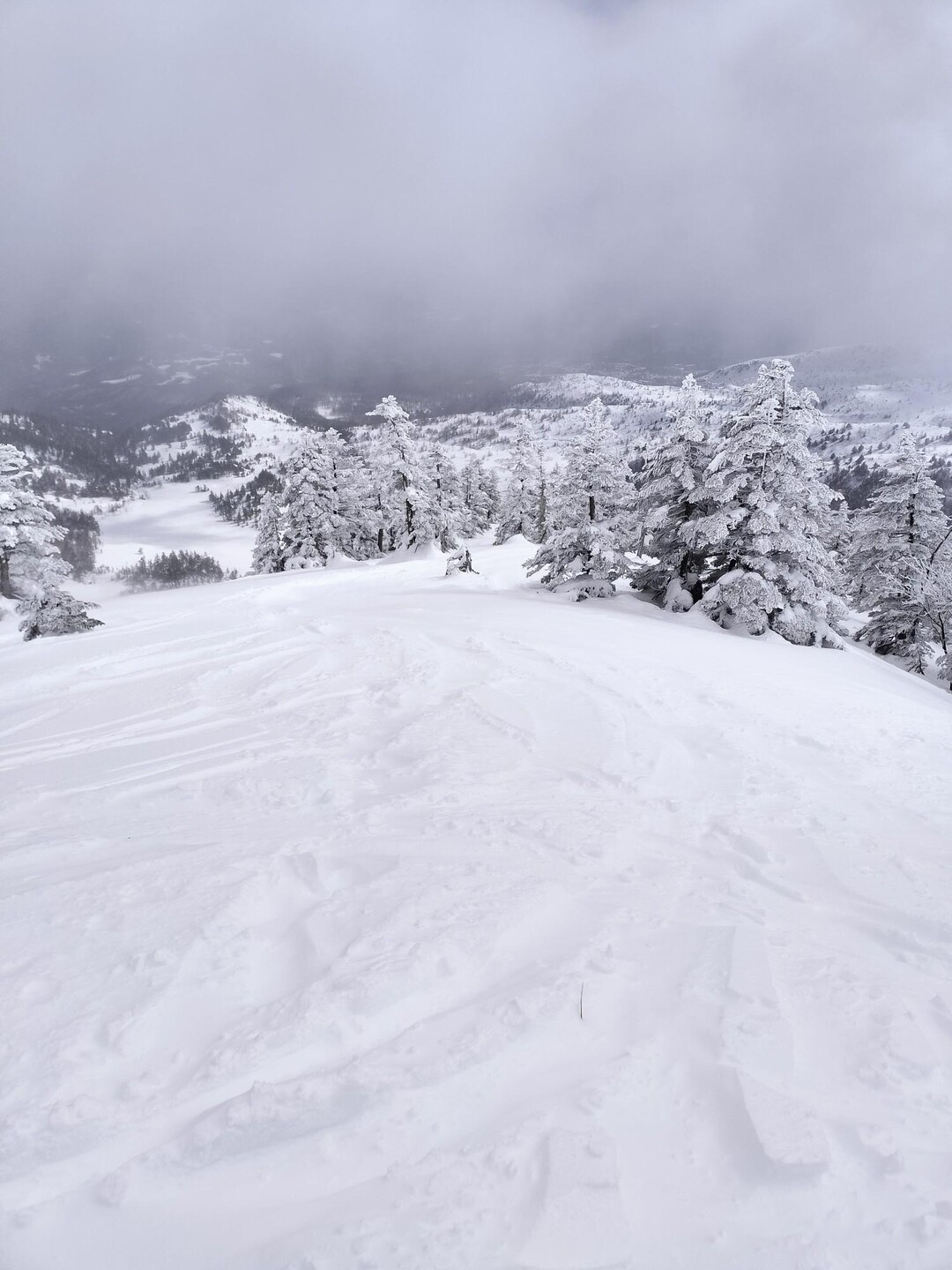 渋峠・池ノ塔山・芳ヶ平BC（動画有） / kooさんの草津白根山・湯釜の活動データ | YAMAP / ヤマップ