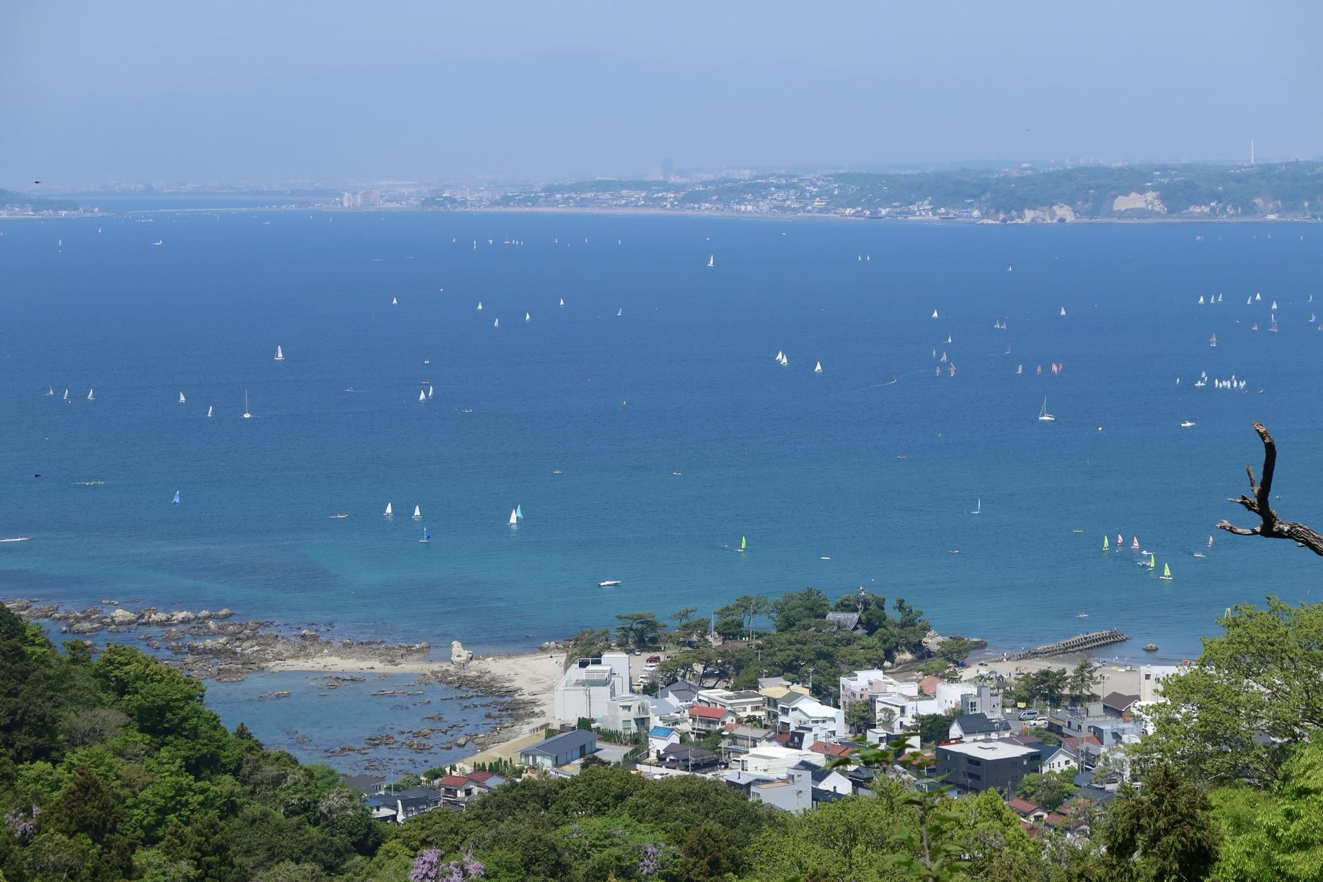 続・GW犬散歩🐕 大峰山 / heeさんの三浦アルプス・二子山・仙元山の活動日記へのコメント一覧 | YAMAP / ヤマップ