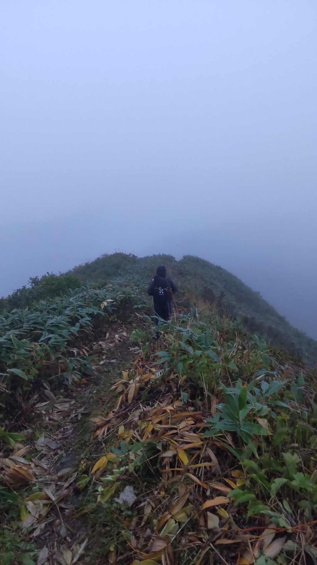 土合駅〜蓬峠〜清水峠〜清水BS / 441Mさんの谷川岳・七ツ小屋山・大源太山の活動データ | YAMAP / ヤマップ