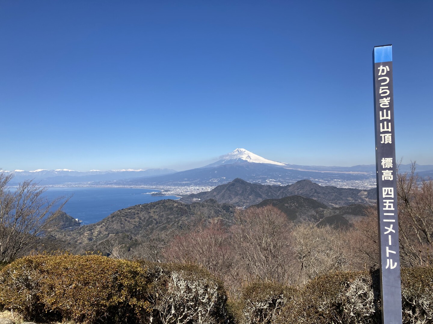 伊豆三山（城山・葛城山・発端丈山） / orihinukさんの金冠山・達磨山・葛城山の活動データ | YAMAP / ヤマップ