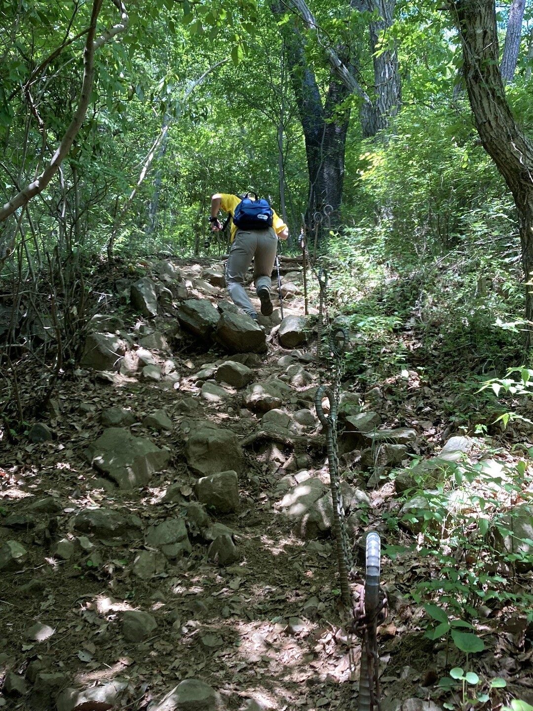 南山 / oda.yさんの仙洞寺山・南山・津久井堂所山の活動データ | YAMAP / ヤマップ