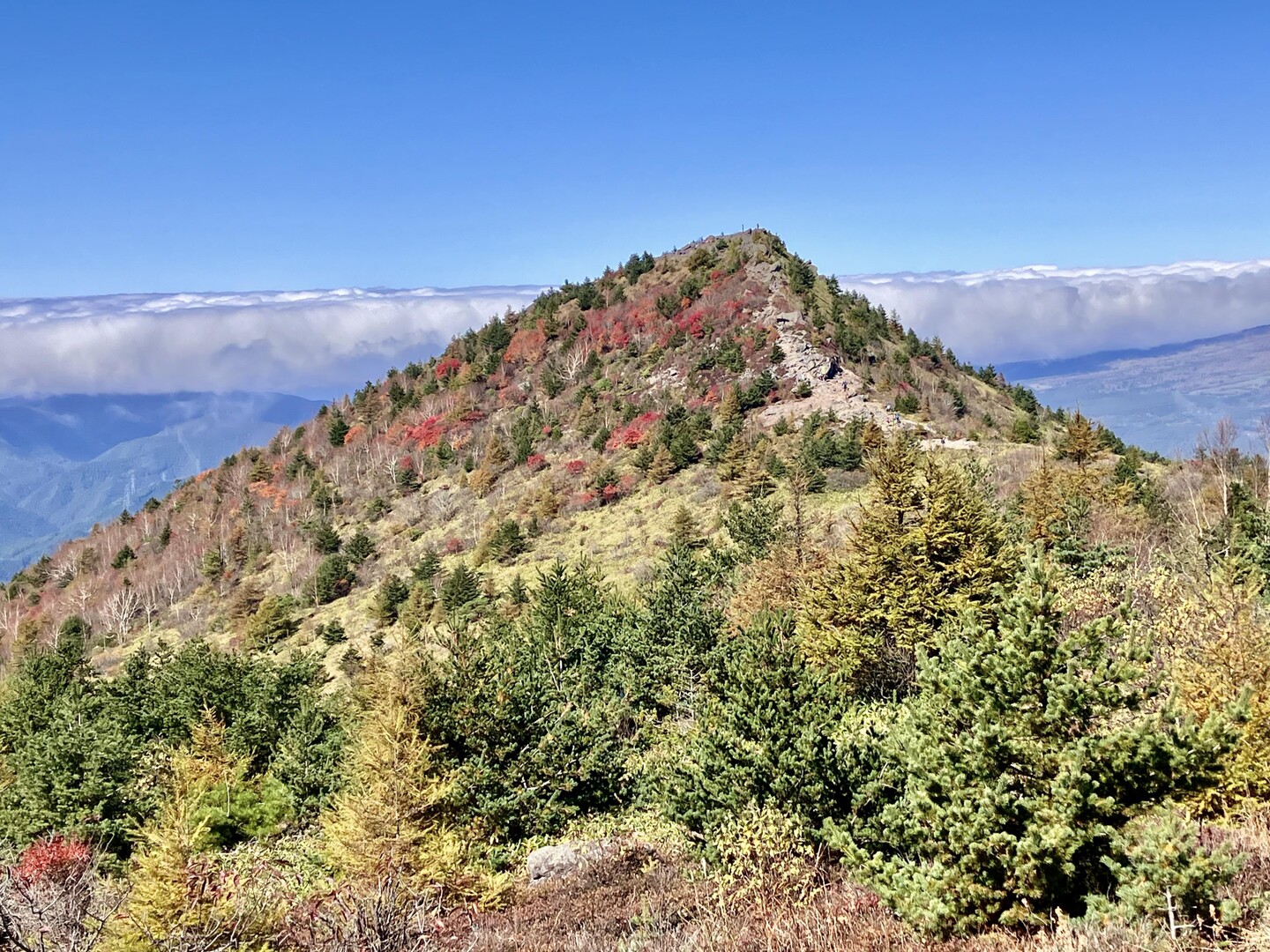 烏帽子岳・東篭ノ登山～紅葉と霧氷の共演！滅多にないコンディションに感激！ / mockyさんの浅間山・黒斑山・篭ノ登山の活動データ | YAMAP / ヤマップ