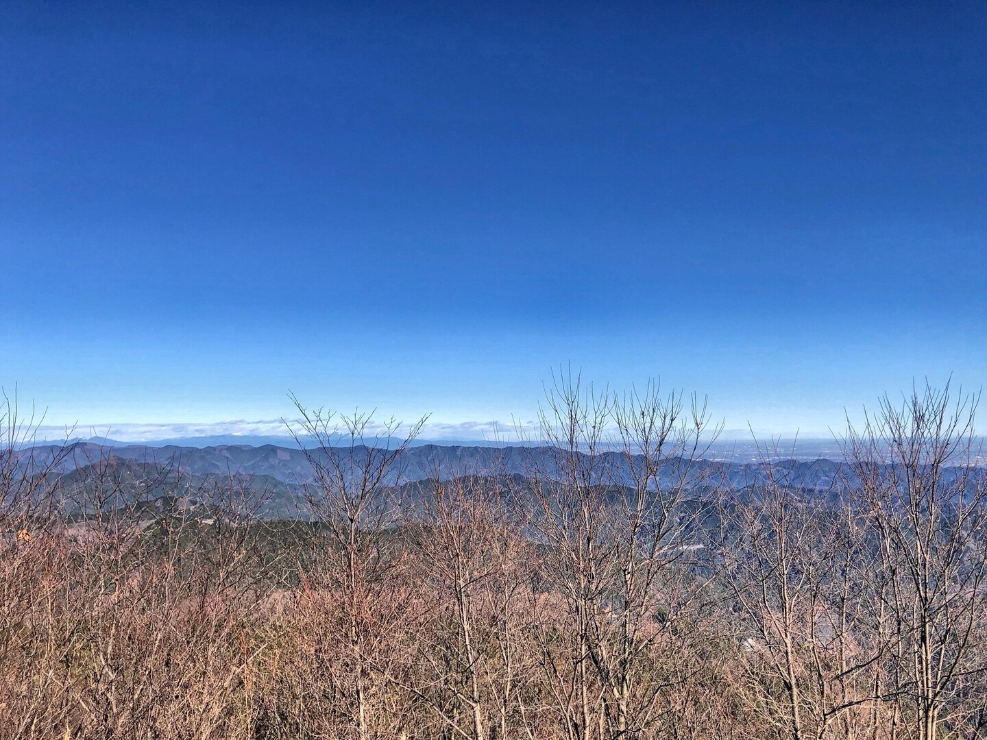 棒ノ嶺（棒ノ折山） / PANAPPさんの棒ノ折山（棒ノ嶺）の活動データ | YAMAP / ヤマップ