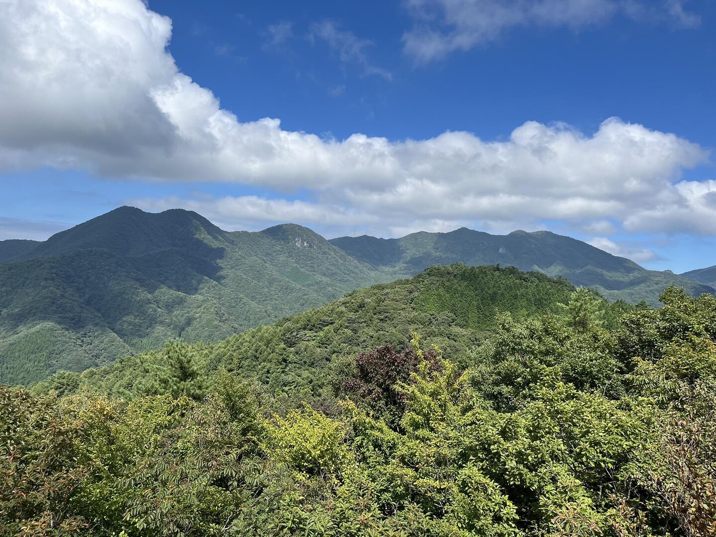 天狗山（榛名） / ka-koさんの榛名山・天狗山・天目山の活動データ | YAMAP / ヤマップ