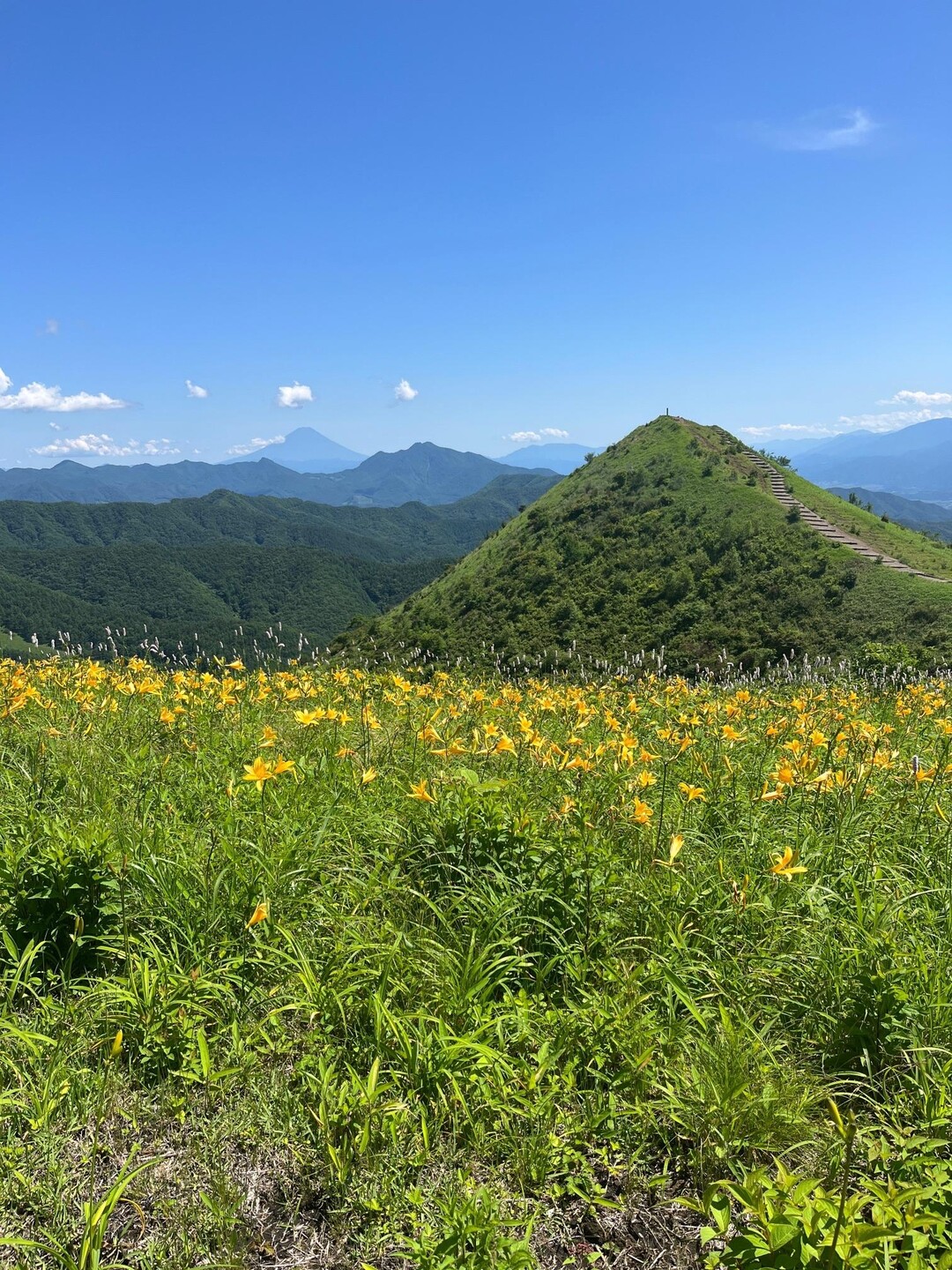 平沢山・飯盛山・大盛山 / Emilyさんの飯盛山の活動データ | YAMAP / ヤマップ