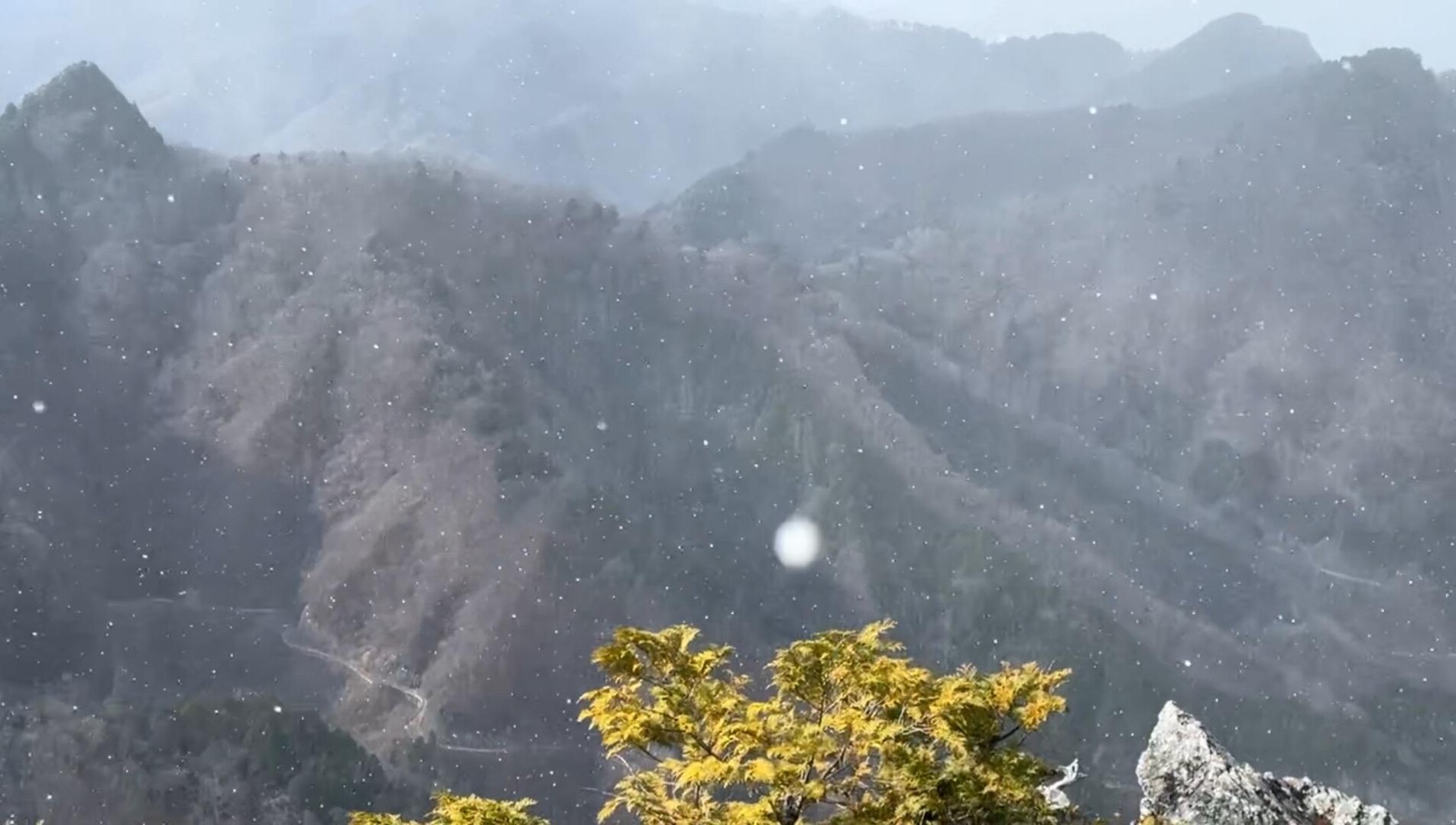 大ナゲシ / T.Haradaさんの登山の活動データ | YAMAP / ヤマップ