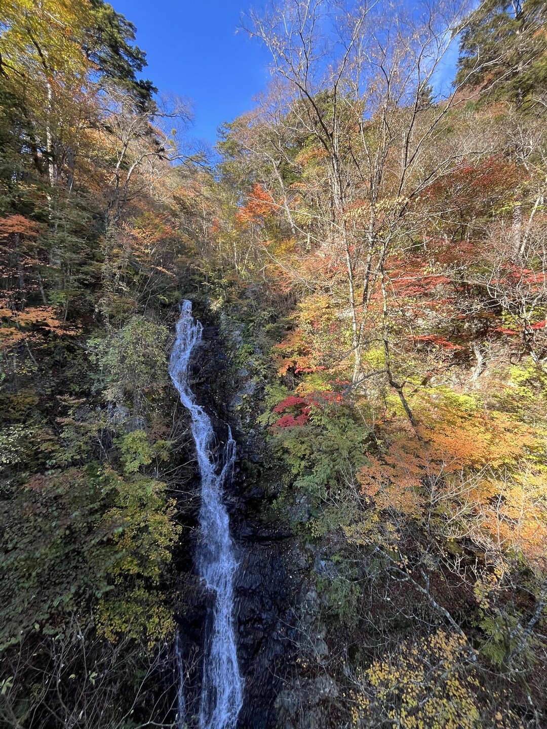 三頭山（西峰）・三頭山（中央峰）・三頭山（東峰） / hi-suさんの三頭山・槇寄山・土俵岳の活動データ | YAMAP / ヤマップ